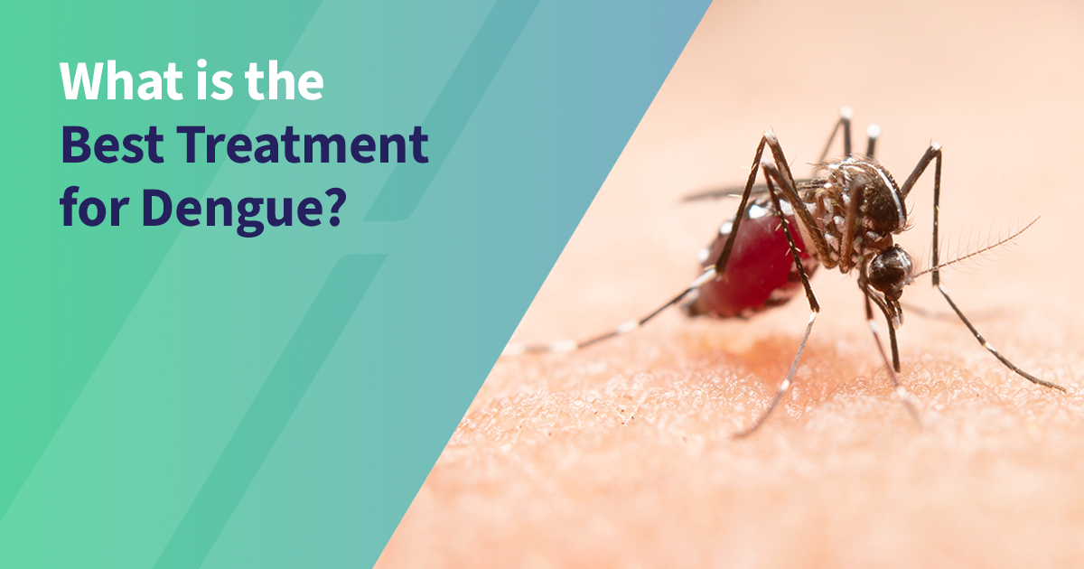Best treatment for dengue | HealZen's functional approach